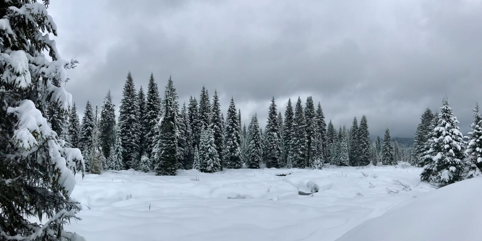 A Romp Around Musselshell Meadows : Clearwater Trekker