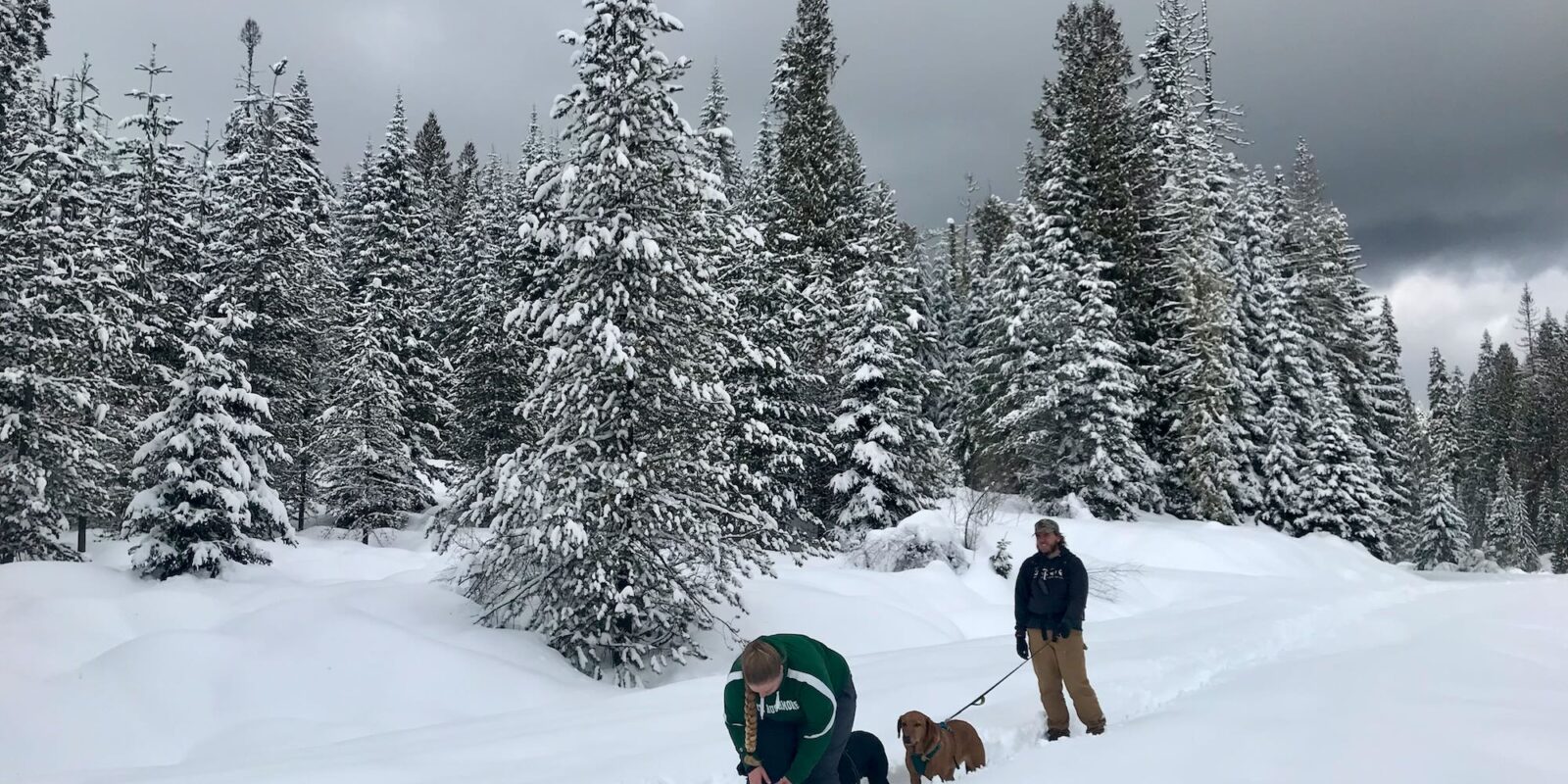 A Romp Around Musselshell Meadows : Clearwater Trekking