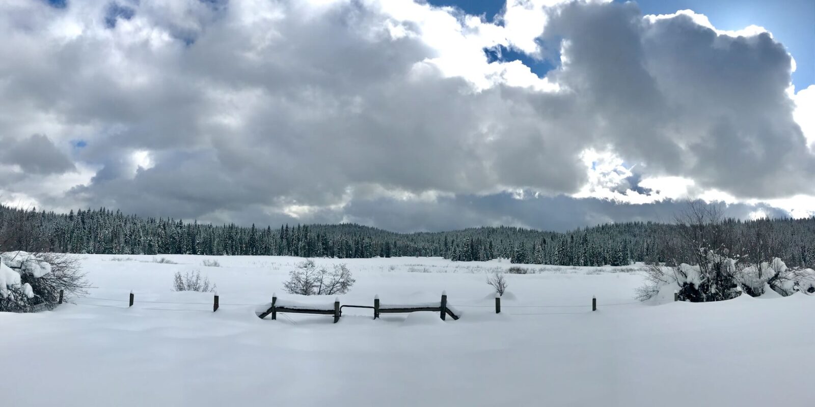 A Romp Around Musselshell Meadows : Clearwater Trekker