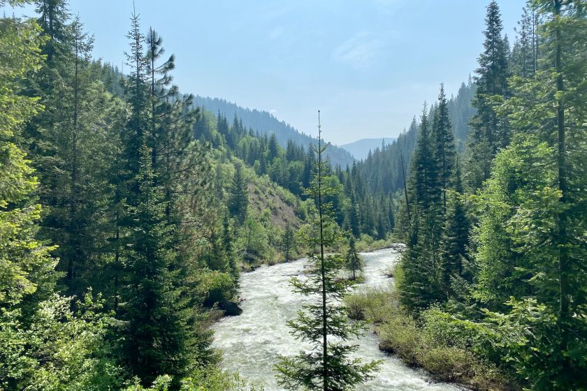 7 Trails I’d Love to Explore in the Clearwater National Forest ...